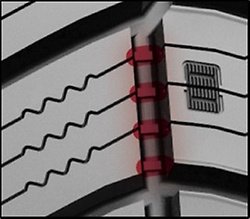 AltiMAX 365 AW - All-weather tire for passenger cars and crossovers ...